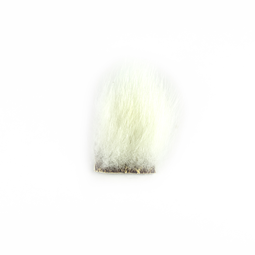 SHOR - POLAR BEAR | SHOR B2B Fishing